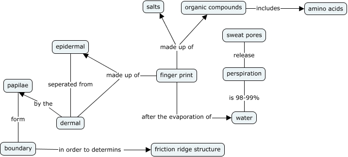 finger-print-concept-map-skin-how-does-anatomy-physiology-of-our-skin